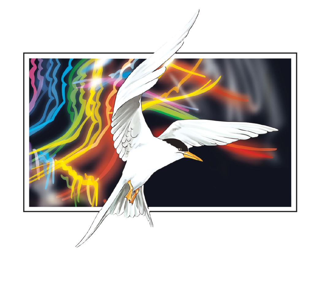 Coming Soon - Pindar